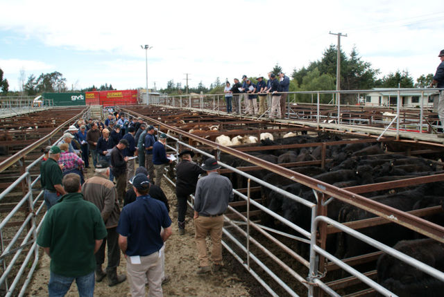 Canterbury Central Saleyards Ltd - Canterbury Central Sale Yards Ltd
