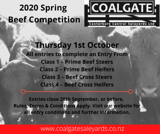 Canterbury Central Sale Yards Ltd